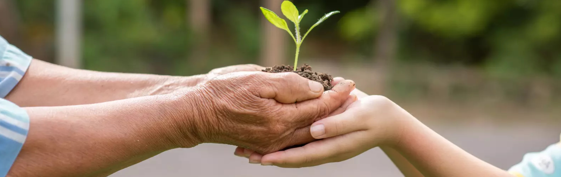 TheNeedINDeed : Join Our Environmental Awareness Program