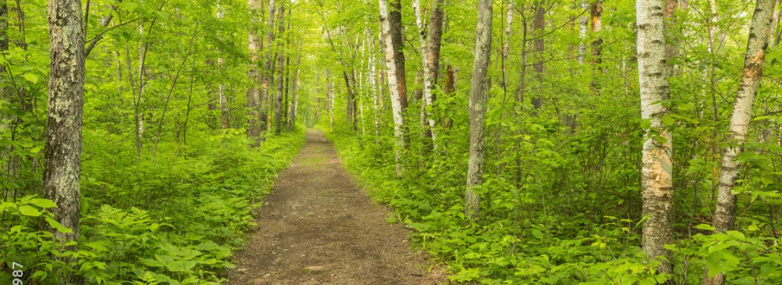 TheNeedINDeed: Join us for Summer Trails 2021 | Minnesota trails